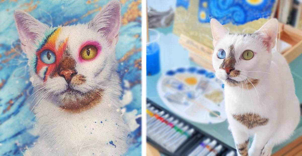 This Cat Is Going Viral for 2 Reasons: His Left Eye and His Right Eye